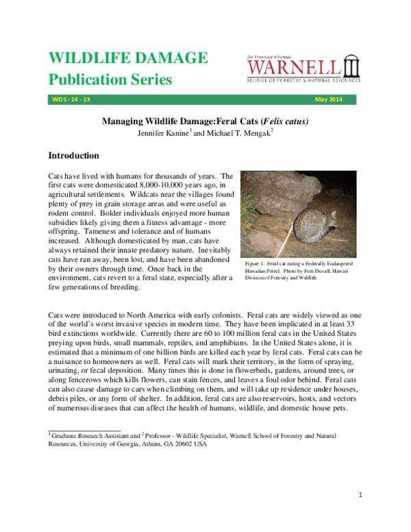(PDF) Managing wildlife damage: Feral cats (felis catus)