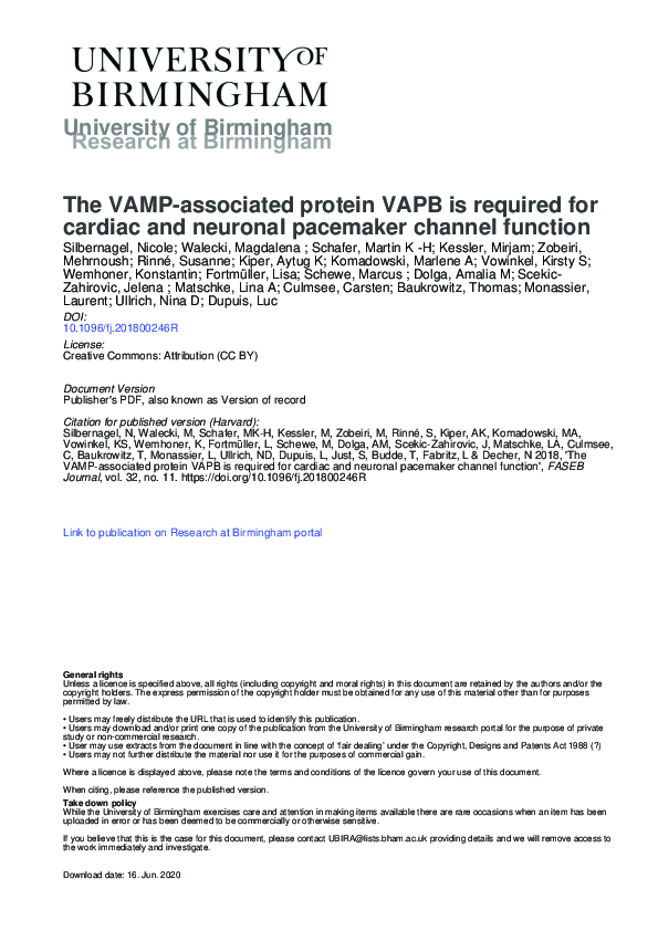 (PDF) The VAMP-associated protein VAPB is required for cardiac and ...