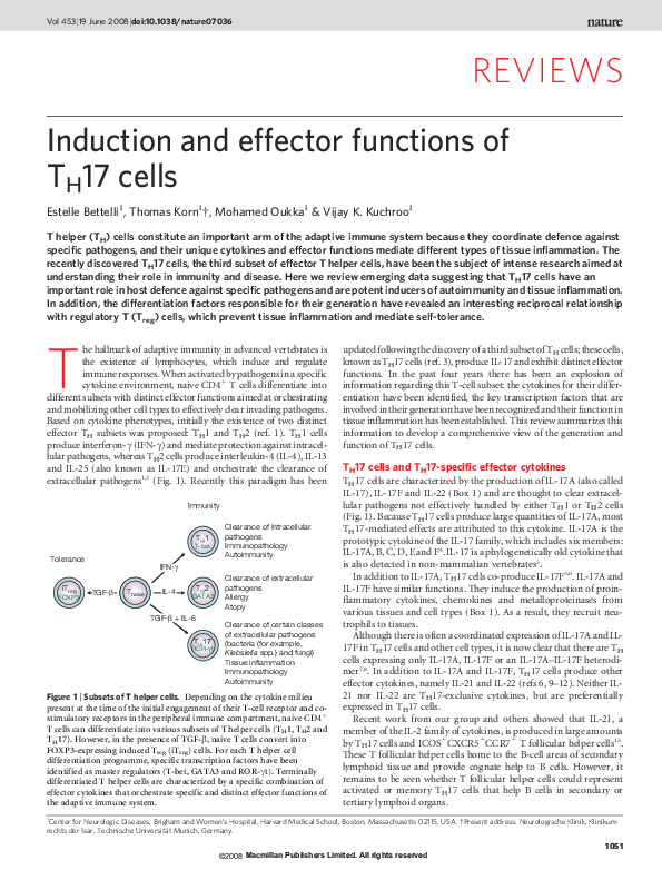 (PDF) Induction and effector functions of TH17 cells
