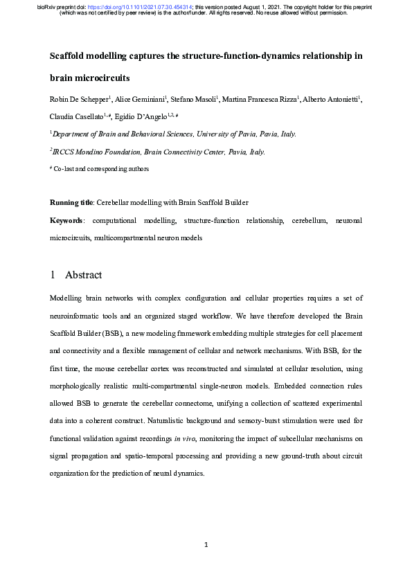 (PDF) Scaffold modelling captures the structure-function-dynamics relationship in brain ...