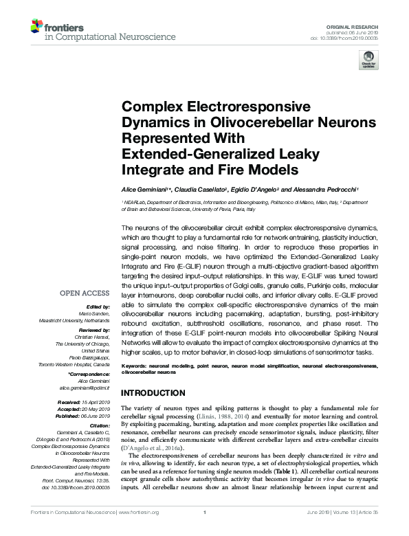 (PDF) Complex Electroresponsive Dynamics in Olivocerebellar Neurons Represented With Extended ...