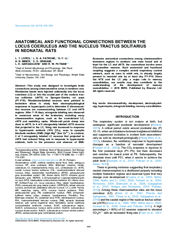 (PDF) Anatomical and functional connections between the locus coeruleus ...