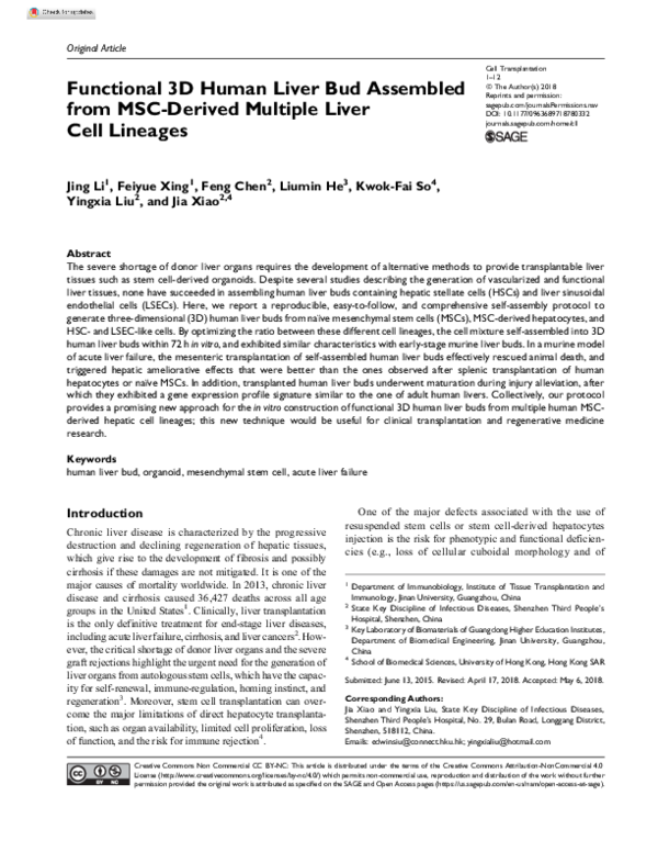 (PDF) Functional 3D Human Liver Bud Assembled from MSC-Derived Multiple ...