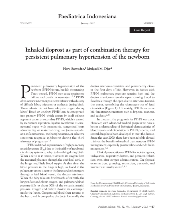 (PDF) Inhaled iloprost as part of combination therapy for persistent ...