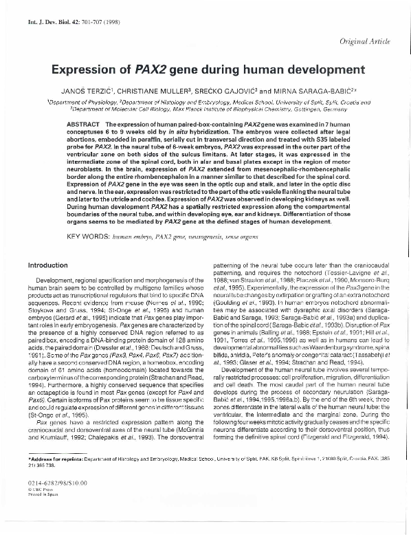 (PDF) Expression of PAX2 gene during human development