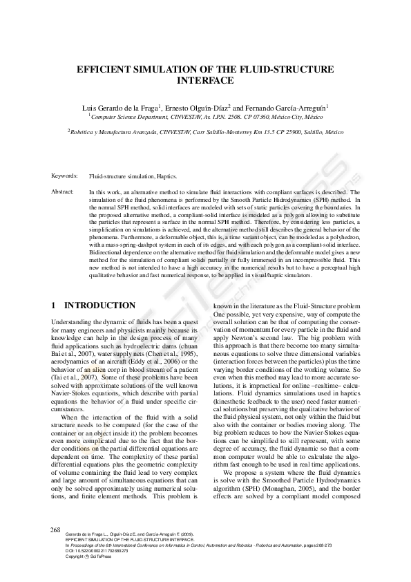 (PDF) Efficient Simulation of the Fluid-structure Interface