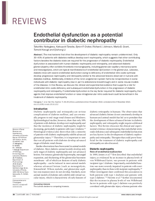 (PDF) Endothelial dysfunction as a potential contributor in diabetic ...