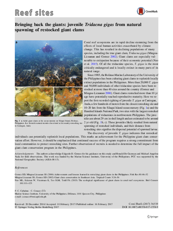 (PDF) Bringing back the giants: juvenile Tridacna gigas from natural ...