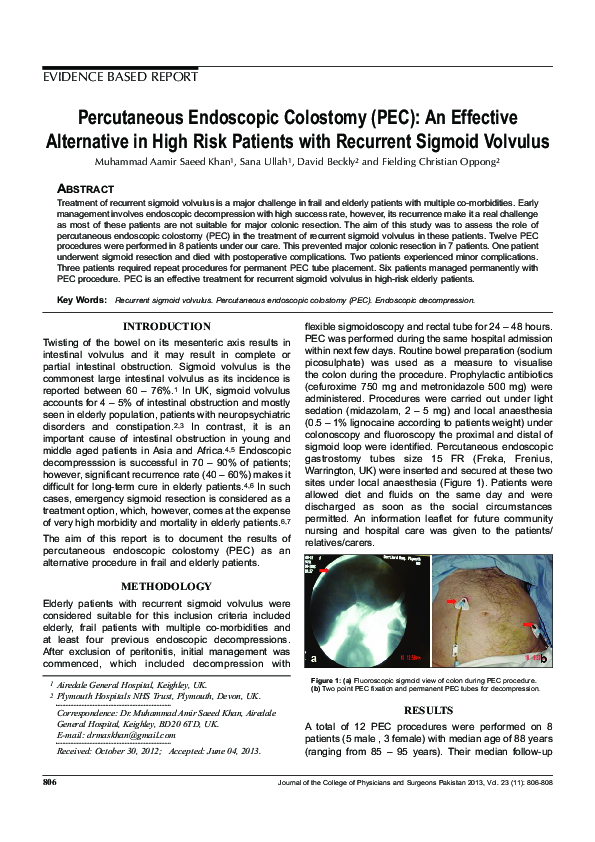(PDF) Percutaneous Endoscopic Colostomy (PEC): An Effective Alternative ...