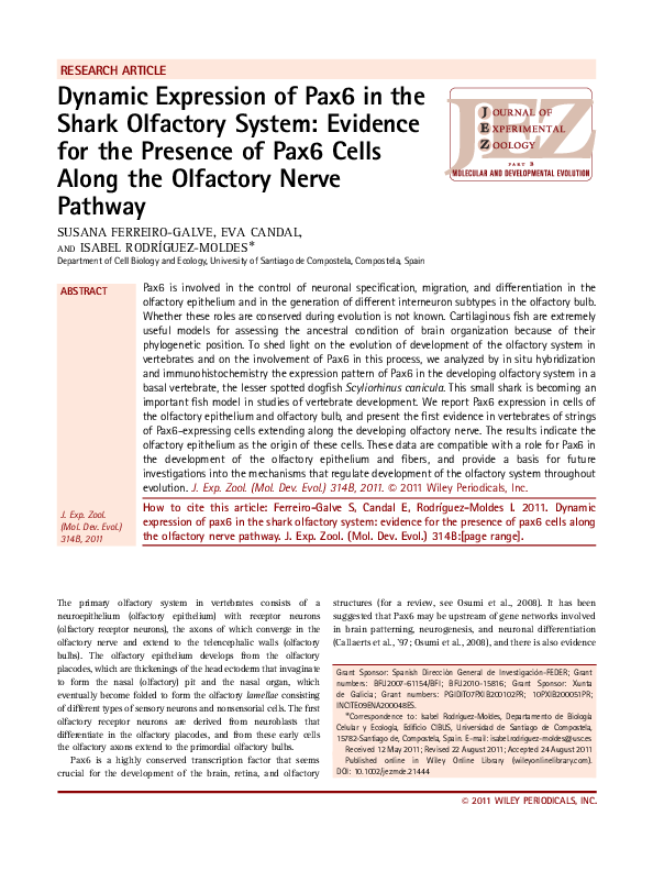 (PDF) Dynamic expression of Pax6 in the shark olfactory system ...