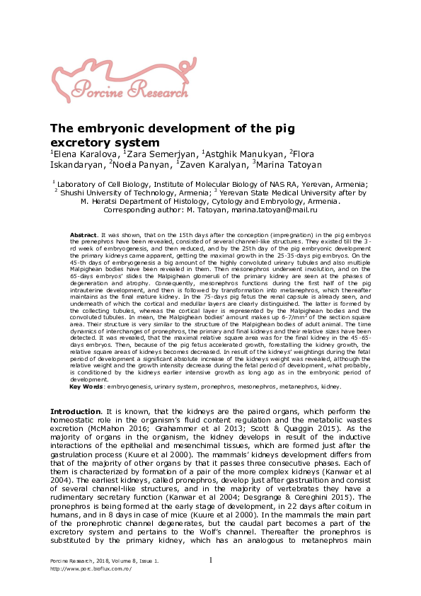 (PDF) The embryonic development of the pig excretory system