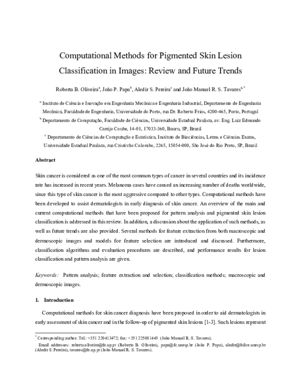 (PDF) Computational methods for pigmented skin lesion classification in ...