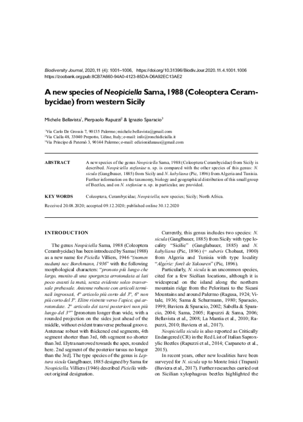 (PDF) A new species of Neopiciella Sama, 1988 (Coleoptera Cerambycidae ...