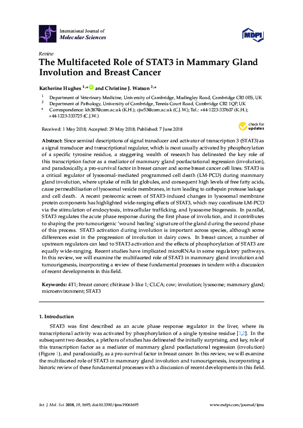 (PDF) The Multifaceted Role of STAT3 in Mammary Gland Involution and Breast Cancer
