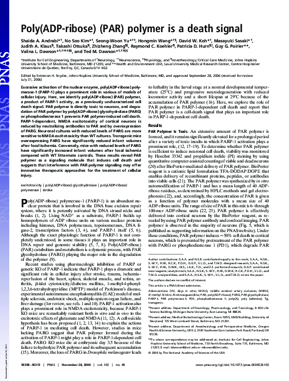 (PDF) Poly(ADP-ribose) (PAR) polymer is a death signal