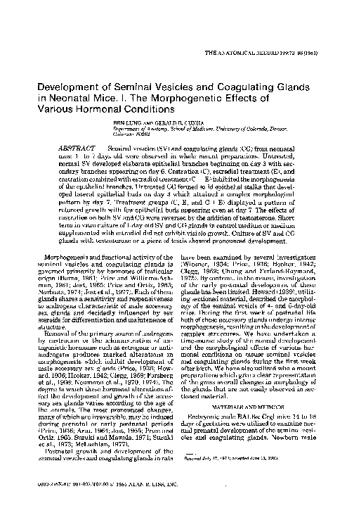 (PDF) Development of seminal vesicles and coagulating glands in ...
