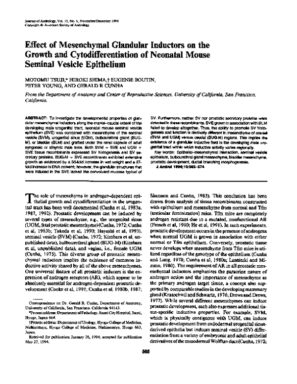 (PDF) Effect of mesenchymal glandular inductors on the growth and ...