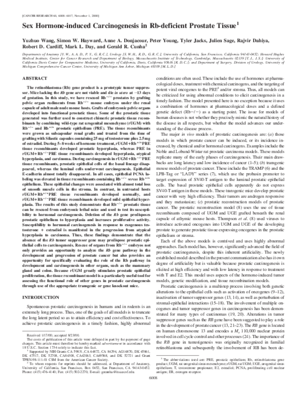 Pdf Sex Hormone Induced Carcinogenesis In Rb Deficient Prostate Tissue Gerald Cunha