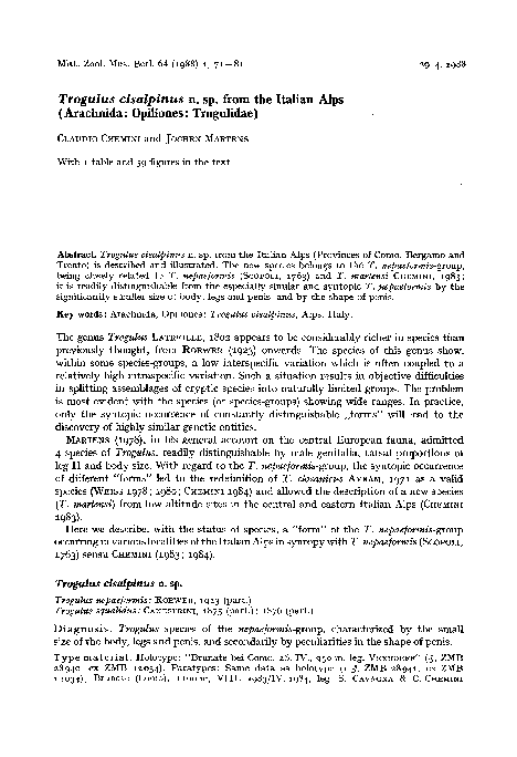 (PDF) Trogulus cisalpinus n. sp. from the Italian Alps (Arachnida ...