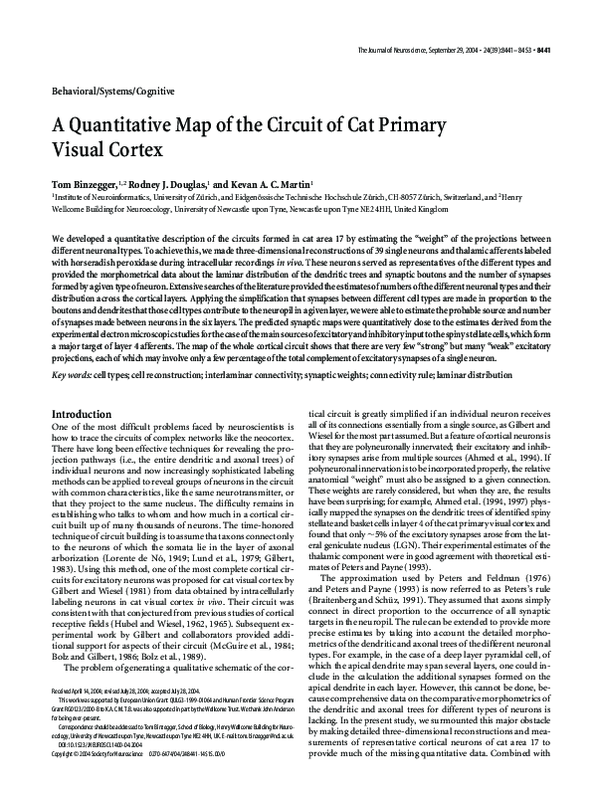 (PDF) A Quantitative Map of the Circuit of Cat Primary Visual Cortex