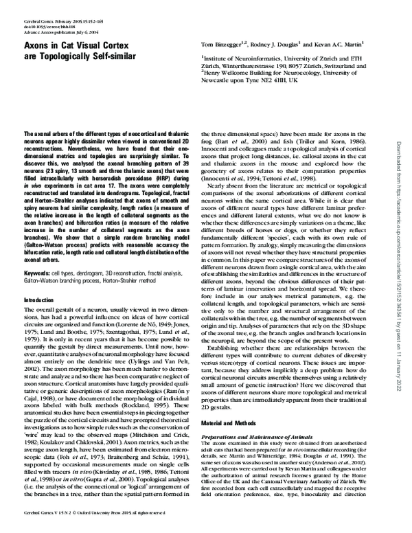 (PDF) Axons in Cat Visual Cortex are Topologically Self-similar