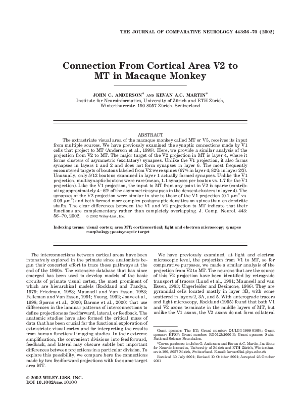 (PDF) Connection from cortical area V2 to MT in macaque monkey