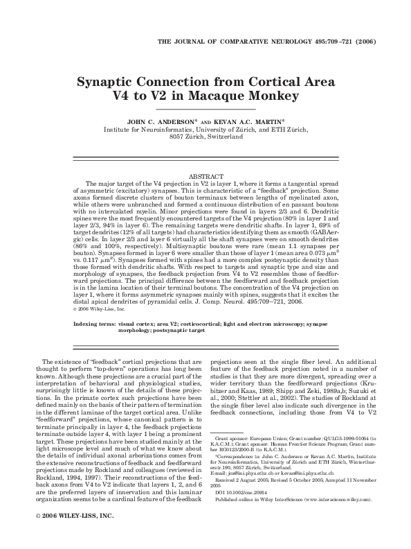 (PDF) Synaptic connection from cortical area V4 to V2 in macaque monkey