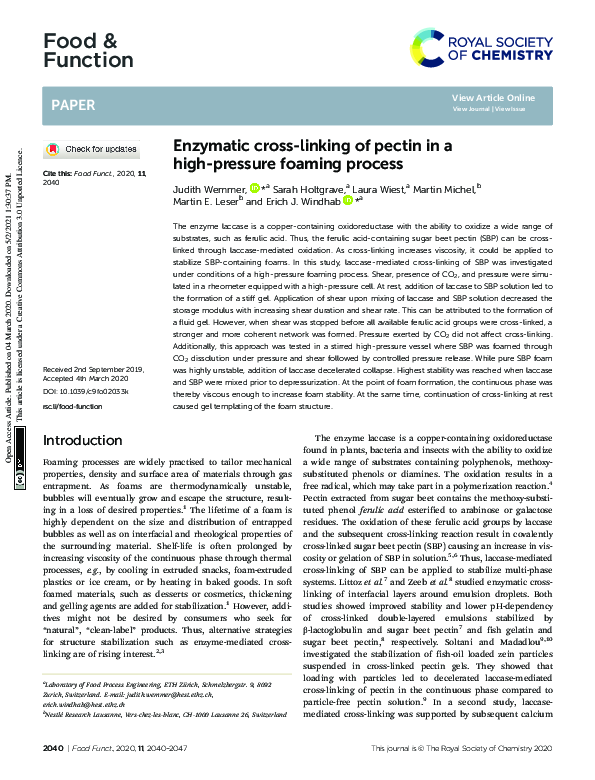 (PDF) Enzymatic cross-linking of pectin in a high-pressure foaming process