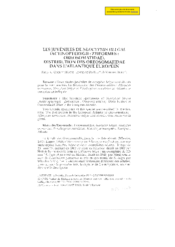 (PDF) Les Juvéniles De Neocyttus Helgae (Actinopterygii : Zeiformes ...