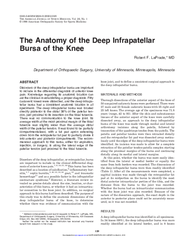 (PDF) The anatomy of the deep infrapatellar bursa of the knee