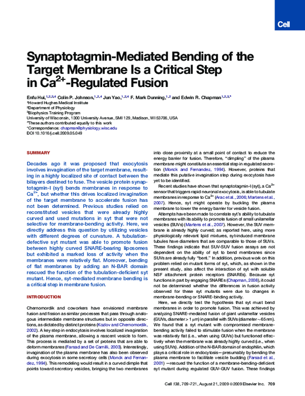 (PDF) Synaptotagmin-Mediated Bending of the Target Membrane Is a ...