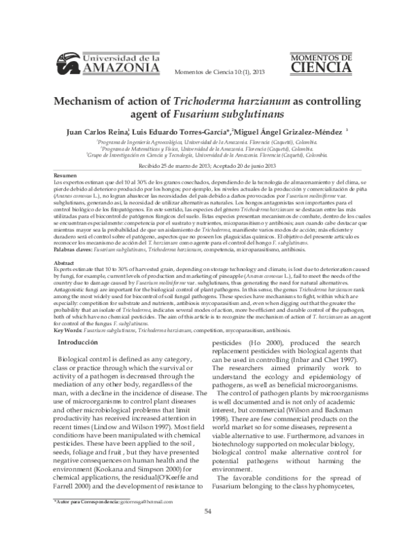 (PDF) Mechanism of action of Trichoderma harzianum as controlling agent of Fusarium subglutinans