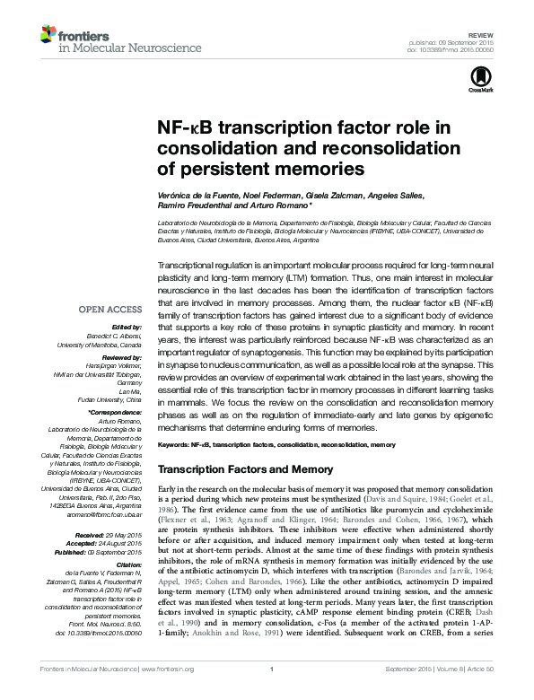 (PDF) NF-κB transcription factor role in consolidation and reconsolidation of persistent memories
