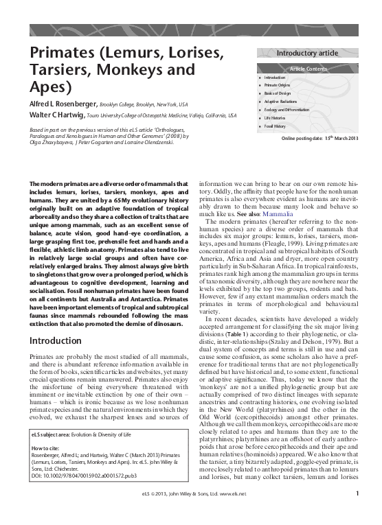 (PDF) Primates (Lemurs, Lorises, Tarsiers, Monkeys and Apes)