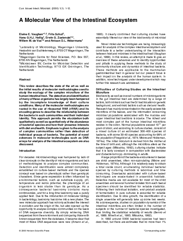 (PDF) A molecular view of the intestinal ecosystem