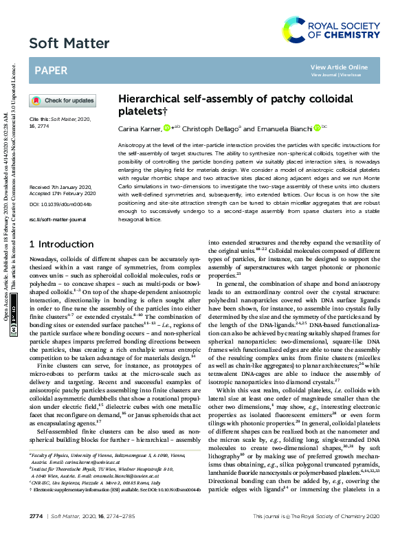 (PDF) Hierarchical self-assembly of patchy colloidal platelets