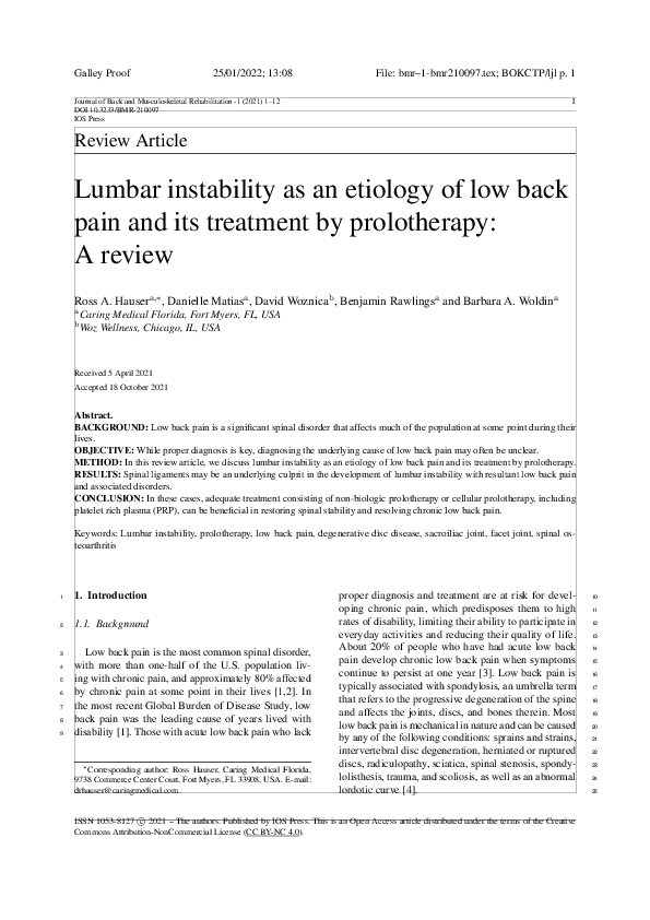 (PDF) Lumbar instability as an etiology of low back pain and its ...
