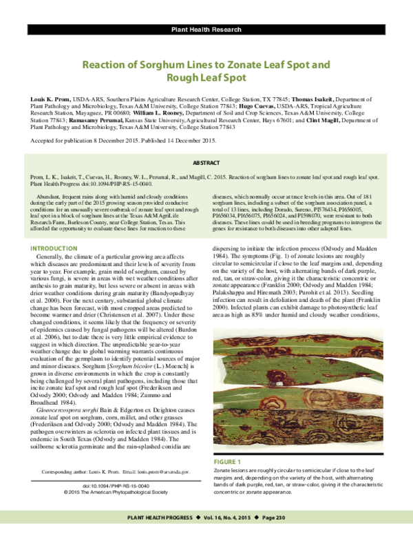 (PDF) Reaction of Sorghum Lines to Zonate Leaf Spot and Rough Leaf Spot