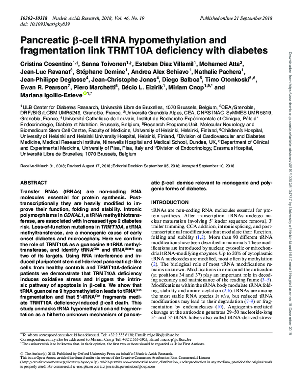 (PDF) Pancreatic beta-cell tRNA hypomethylation and fragmentation link ...