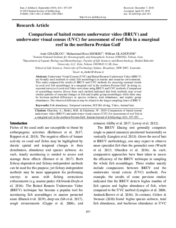 (PDF) Comparison of baited remote underwater video (BRUV) and ...