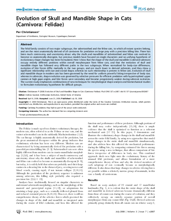 (PDF) Evolution of Skull and Mandible Shape in Cats (Carnivora: Felidae)
