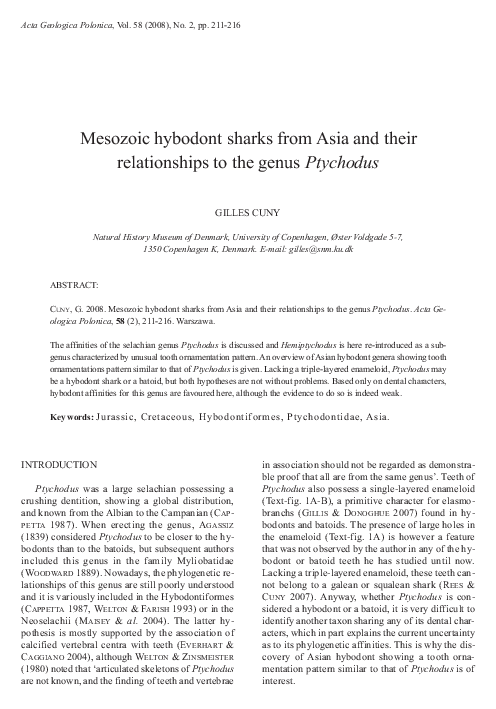 (PDF) Mesozoic hybodont sharks from Asia and their relationships to the ...