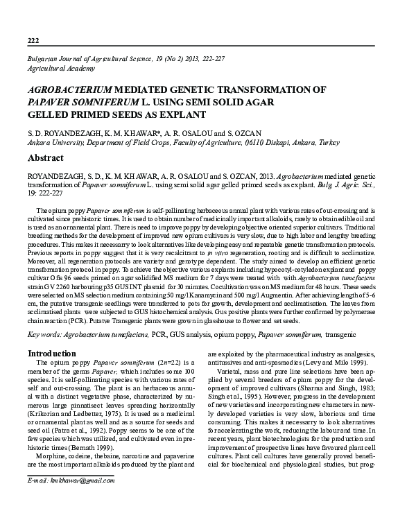 (PDF) AgrobActerium mediated genetic tRanSFORmatiOn OF PAPAver ...