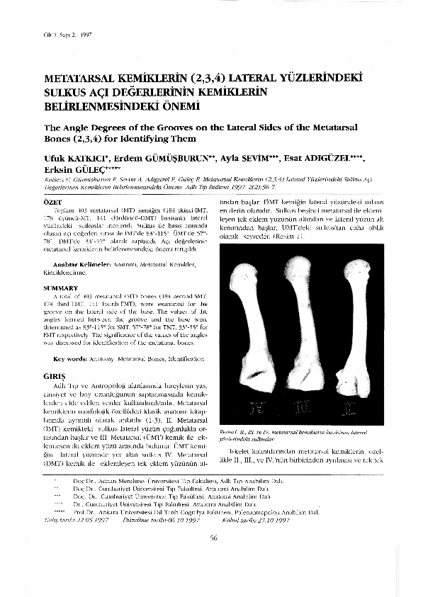 (PDF) The Angle Degrees of the Grooves on the Lateral Sides of the ...