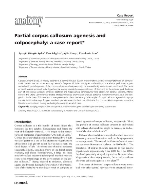 (PDF) Partial corpus callosum agenesis and colpocephaly: a case report