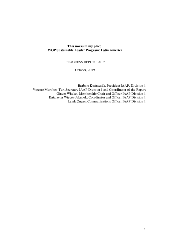 (PDF) Sustainable Leader Program : Latin America PROGRESS REPORT 2019 ...