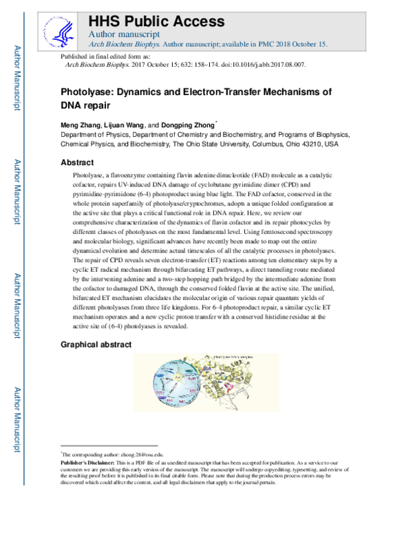 (PDF) Photolyase: Dynamics and electron-transfer mechanisms of DNA ...