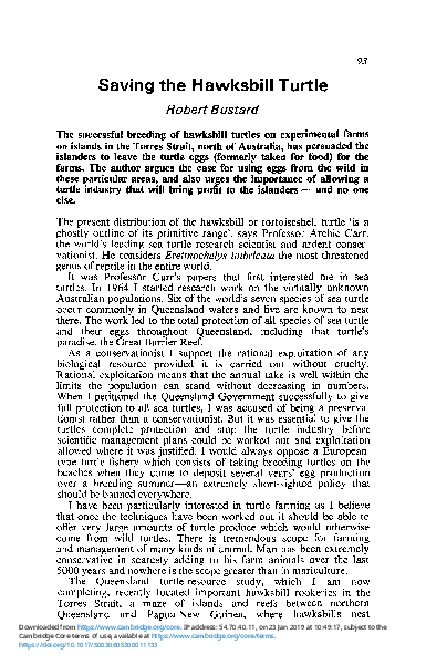 (PDF) Saving the Hawksbill Turtle