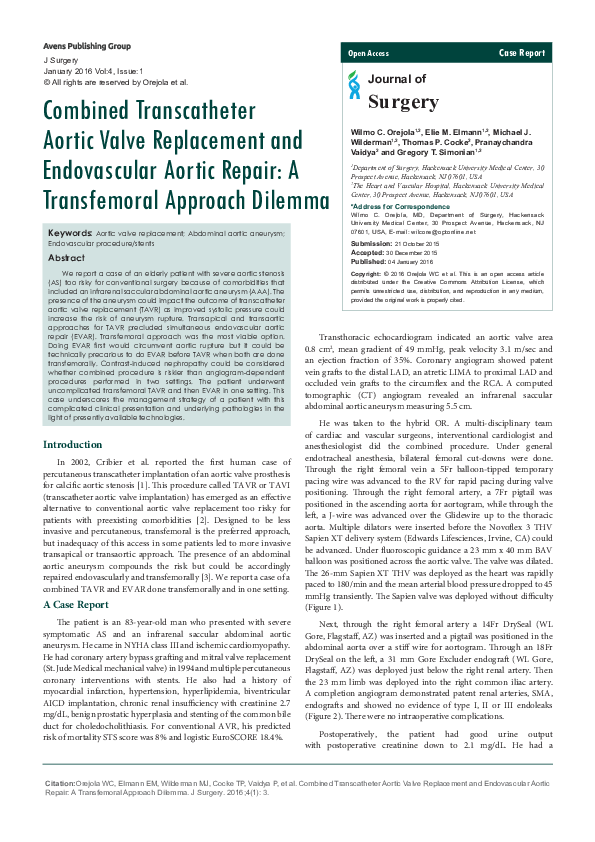 (PDF) Combined Transcatheter Aortic Valve Replacement and Endovascular ...
