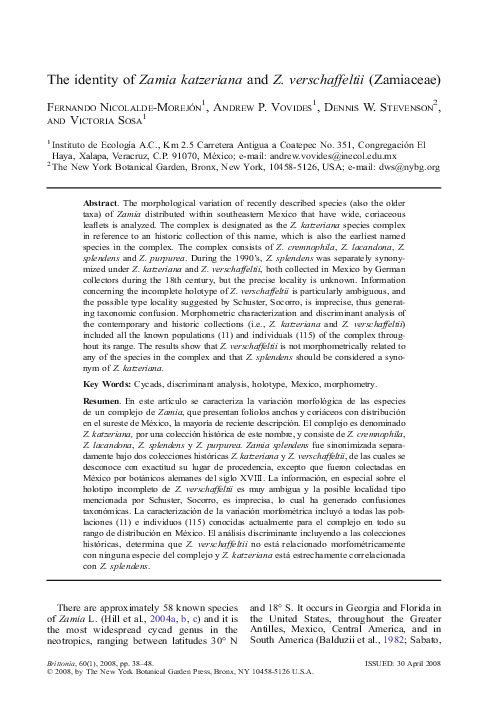 (PDF) The identity of Zamia katzeriana and Z. verschaffeltii (Zamiaceae ...